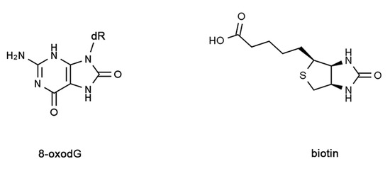 Single Cell Determination of 7,8-dihydro-8-oxo-2′-deoxyguanosine by ...
