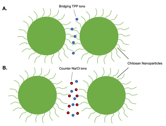 A Simple Method for Synthesis of Chitosan Nanoparticles with Ionic Gelation and Homogenization
