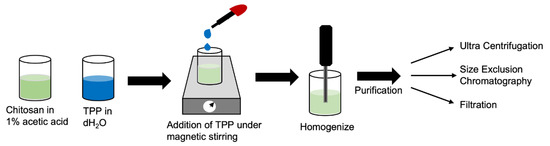 A Simple Method for Synthesis of Chitosan Nanoparticles with Ionic Gelation and Homogenization
