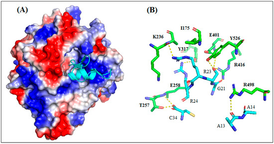 BotCl, the First Chlorotoxin-like Peptide Inhibiting Newcastle Disease ...