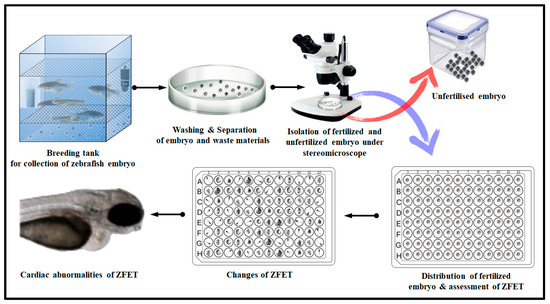 In Silico and In Vitro Methods in the Characterization of Beta-Carotene ...