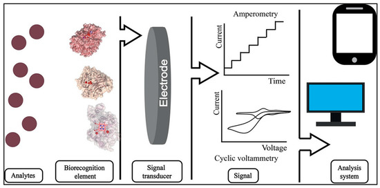 Electroactive Microorganisms in Advanced Energy Technologies