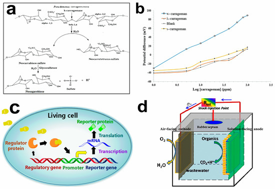 Electroactive Microorganisms in Advanced Energy Technologies