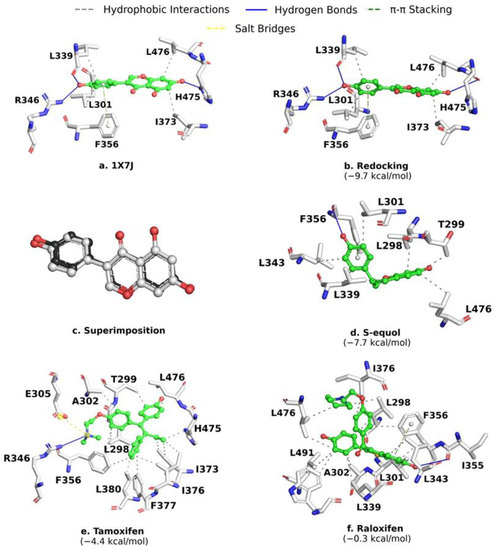 Ligand-Based Virtual Screening, Molecular Docking, and Molecular ...