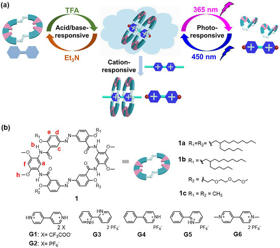 Multi-Responsive Molecular Encapsulation and Release Based on Hydrogen ...