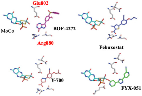 XDH and XO Research and Drug Discovery—Personal History