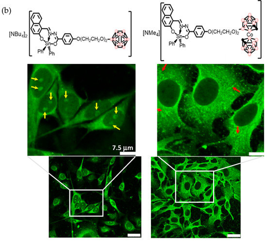 Molecules | Free Full-Text | Towards the Application of Purely ...