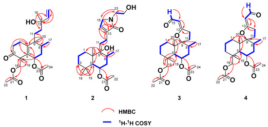 Zeylleucapenoids A–D, Highly Oxygenated Diterpenoids with Anti ...