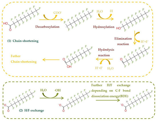 Research Updates on the Mechanism and Influencing Factors of the ...