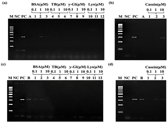 Enhancement Effects and Mechanism Studies of Two Bismuth-Based ...