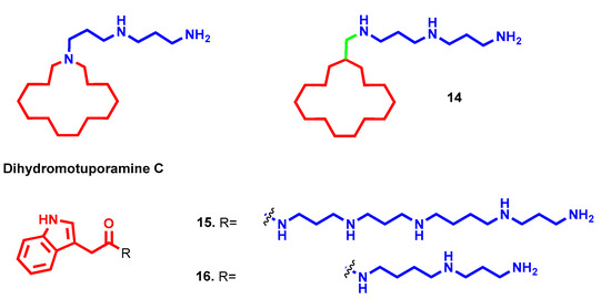 Polyamine–Drug Conjugates: Do They Boost Drug Activity?