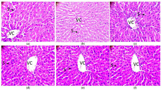 Antioxidant, Anti-Inflammatory, and Anti-Cancer Properties of Amygdalin ...