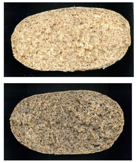 Molecules | Free Full-Text | Wheat Roll Enhanced by Buckwheat Hull, a ...