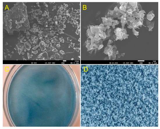 Molecules | Free Full-Text | β-CD-Induced Precipitation of Eriochrome ...