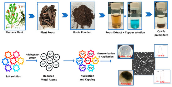 Molecules | Free Full-Text | Synthesis of Green Copper Nanoparticles ...