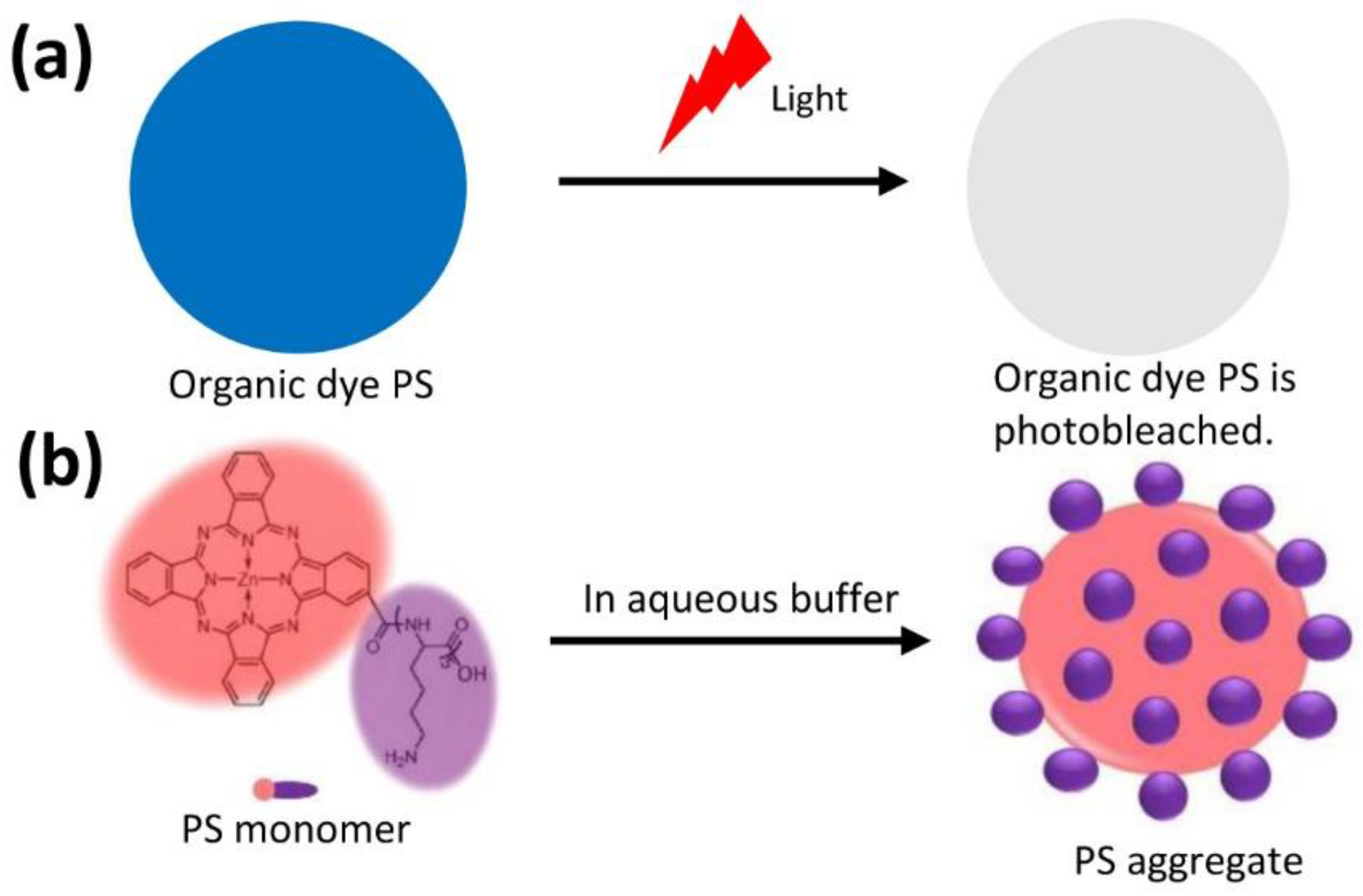 Monomer and Oligomer Transition of Zinc Phthalocyanine Is Key for ...