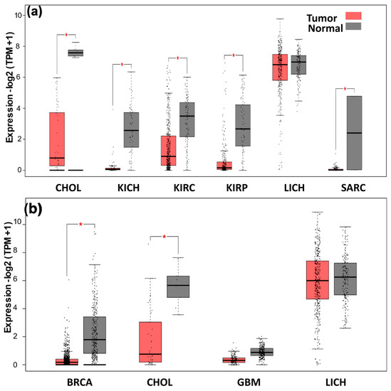 An Integrated Computational Analysis of High-Risk SNPs in Angiopoietin ...