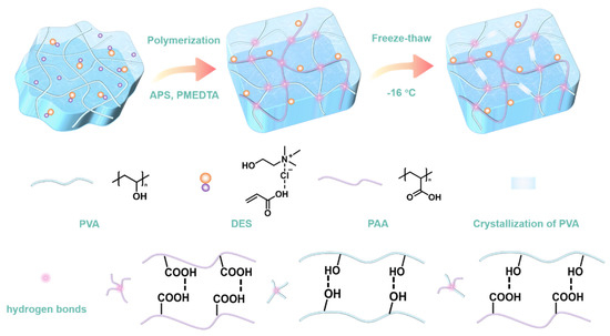 High-Strength Double-Network Conductive Hydrogels Based on Polyvinyl Alcohol and Polymerizable ...