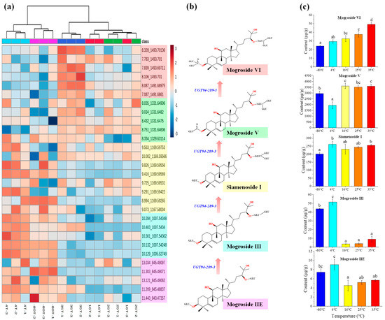 Post-Ripening and Key Glycosyltransferase Catalysis to Promote Sweet ...