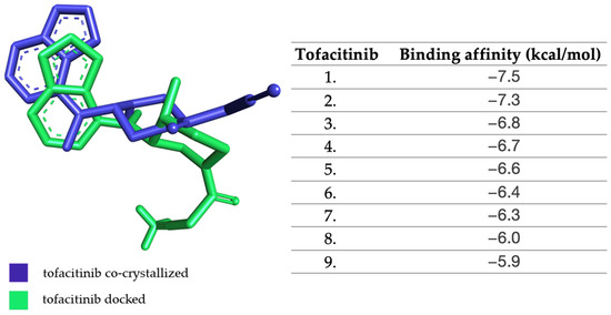 Novel Potential Janus Kinase Inhibitors with Therapeutic Prospects in ...