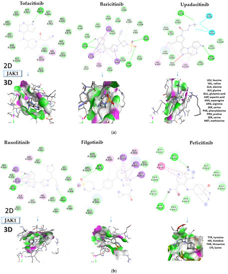 Novel Potential Janus Kinase Inhibitors with Therapeutic Prospects in ...