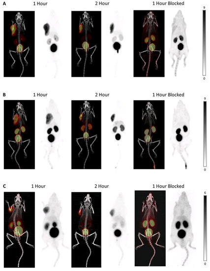 CXCR4-Targeted Radiopharmaceuticals for the Imaging and Therapy of ...