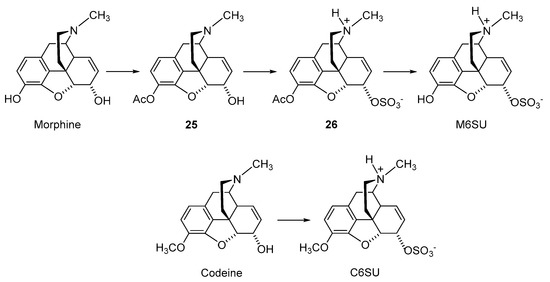 Peripheralization Strategies Applied to Morphinans and Implications for ...