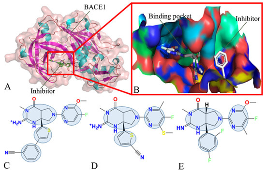Identification Mechanism of BACE1 on Inhibitors Probed by Using ...