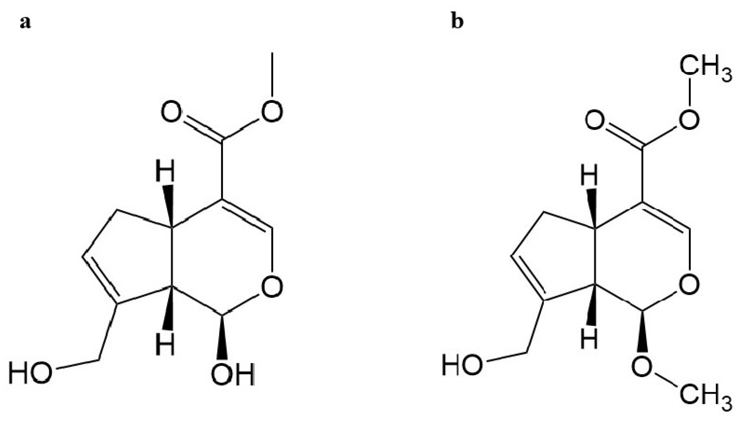 Synthesis of Methylgenipin and Evaluation of Its Anti-Hepatic Injury ...