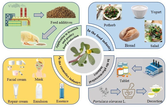 Molecules | Free Full-Text | Extraction, Purification, Structural ...