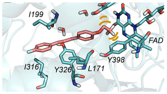 Structure-Based Design of Novel MAO-B Inhibitors: A Review