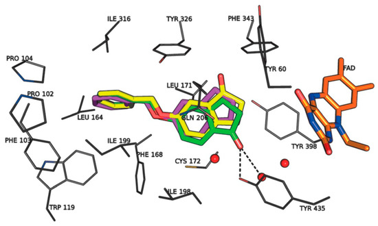 Structure-Based Design of Novel MAO-B Inhibitors: A Review