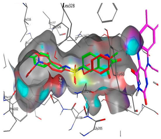 Structure-Based Design of Novel MAO-B Inhibitors: A Review