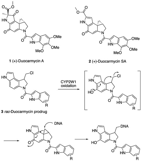 Rapid Construction of a Chloromethyl-Substituted Duocarmycin-like Prodrug