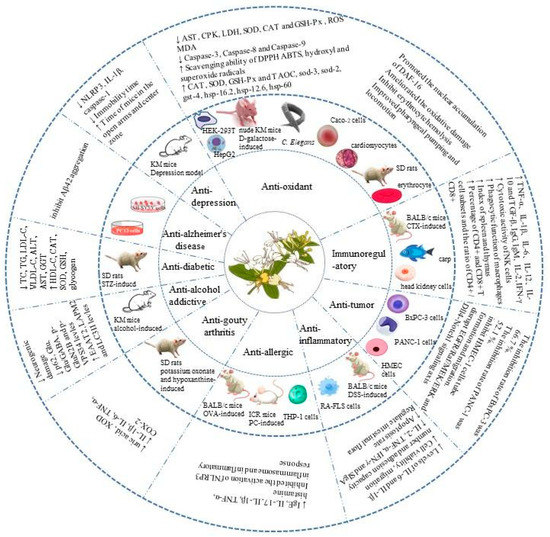 Extraction, Purification, Structural Characteristics, Health Benefits ...