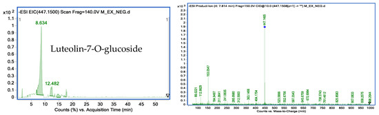 Comprehensive Metabolite Profiling of Chemlali Olive Tree Root Extracts ...