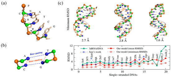Computational Modeling of DNA 3D Structures: From Dynamics and Mechanics to Folding