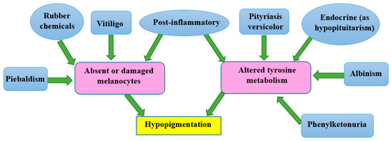 Skin Pigmentation Types, Causes and Treatment—A Review