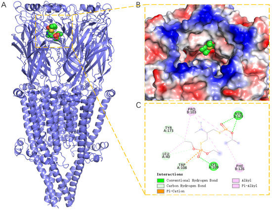 Synthesis, Bioactivity and Molecular Docking of Nereistoxin Derivatives ...