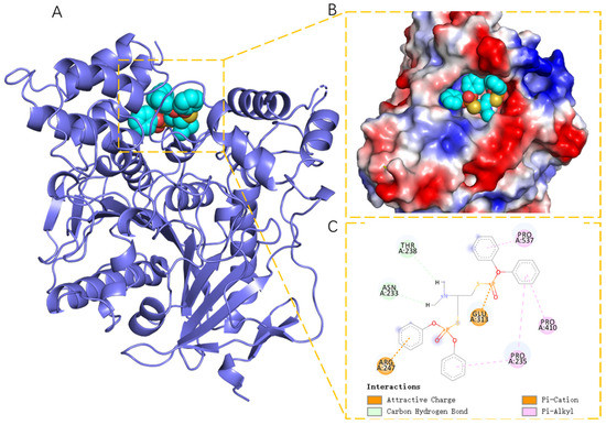 Synthesis, Bioactivity and Molecular Docking of Nereistoxin Derivatives ...