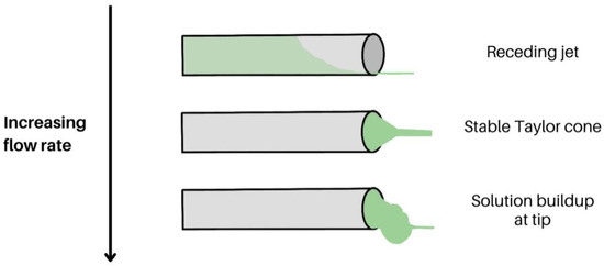 Molecules | Free Full-Text | Light-Driven Energy and Charge Transfer ...