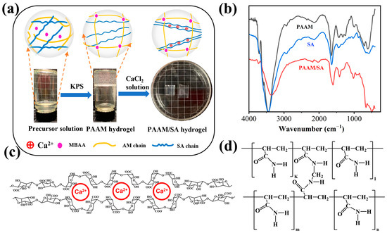 Understanding Gel-Powers: Exploring Rheological Marvels of Acrylamide ...