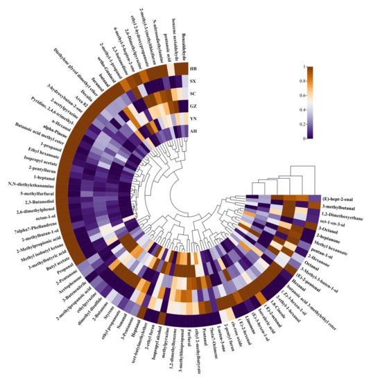 Differences in Volatile Organic Compounds in Rhizoma gastrodiae (Tian ...