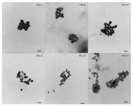 Nanotechnology–General Aspects: A Chemical Reduction Approach to the ...