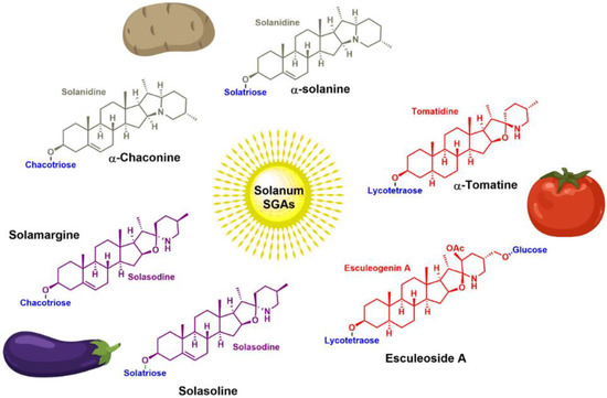 Molecules | Free Full-Text | The Therapeutic Value of Solanum Steroidal ...