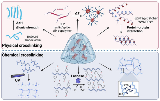 Protein-Based Hydrogels and Their Biomedical Applications
