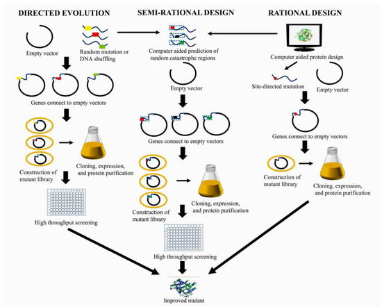 Recent Advances in β-Glucosidase Sequence and Structure Engineering: A ...