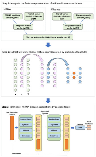 Prediction Of Mirnadisease Associations By Cascade Forest Model Based On Stacked Autoencoder