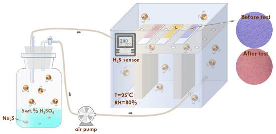 How To Test Hydrogen Sulfide Levels