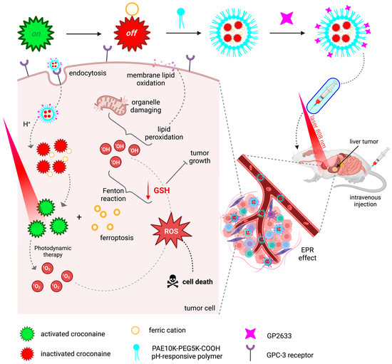Molecules | Free Full-Text | Photodynamic Therapy: From the Basics to ...